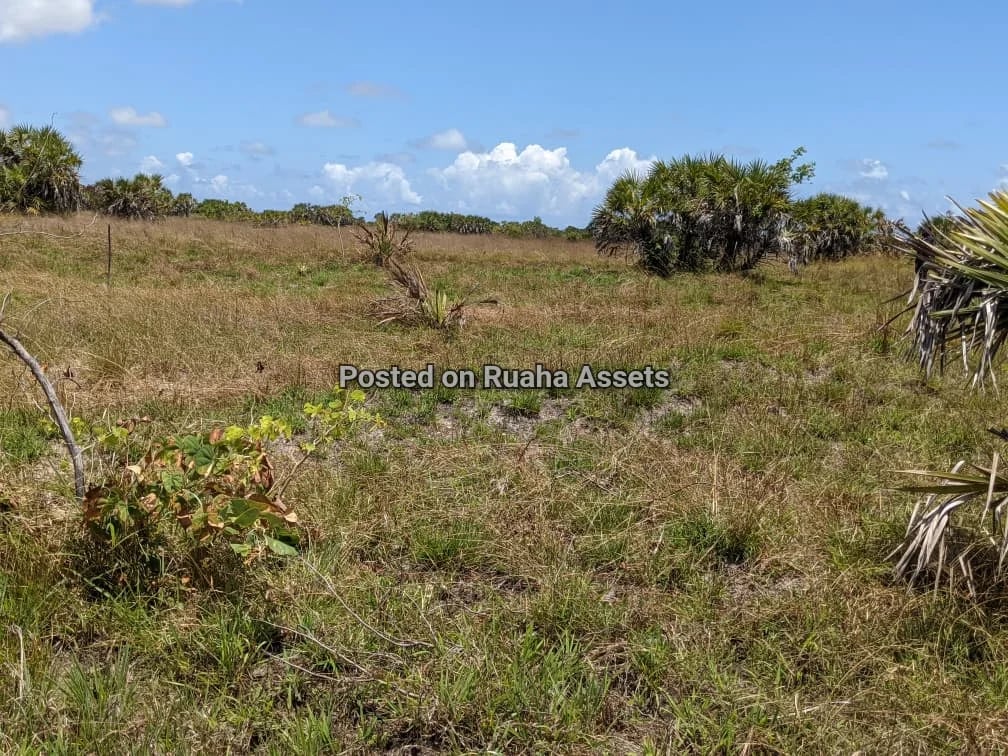 Ruaha Assets - Kiwanja kinauzwa Kimbiji Kigamboni